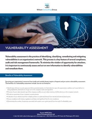 Vulnerability Assessment PDF