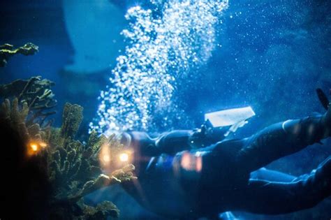Premium Photo Man Swimming In Sea