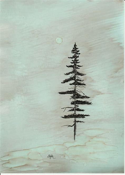Simple Sequoia Tree Drawing At Explore Collection