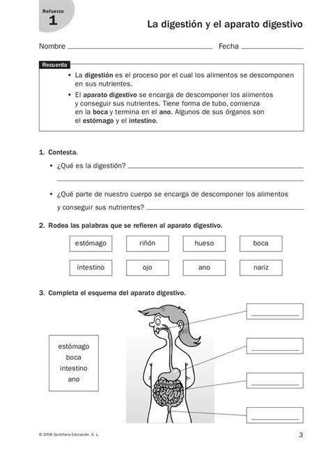 Refuerzo Y Ampliación Conocimiento Del Medio 4º En 2020 Spanish