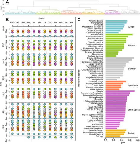 a dendrogram of sample groups produced by the hierarchical cluster
