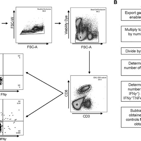 Overview Of Flow Cytometry Gating Strategy And Data Analysis A Download Scientific Diagram