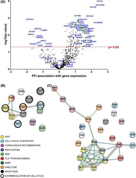 Transcriptomic Analysis Of Tumor Samples From Good Gr And Poor Pr