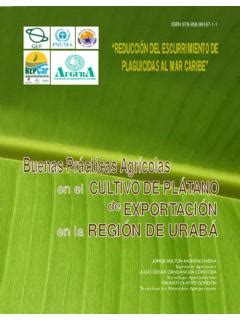 Buenas Prácticas Agrícolas cep unep org buenas pr 225 cticas agr