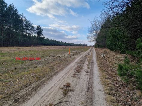 Działka Budowlana Warunki Zabudowy 9 5ar 500m od Drogi ASFALTOWEJ