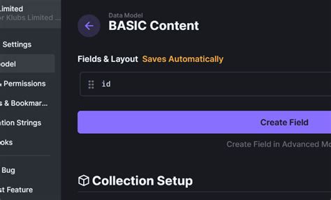 The Word Basic Is Capitalized In Any Collection On Ui · Issue 13628 · Directusdirectus · Github
