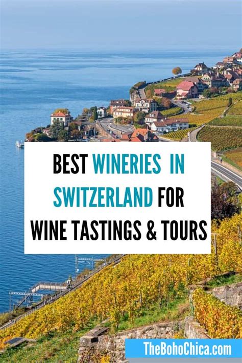 Best Wineries In Switzerland Tips To Visit On Your Swiss Holiday
