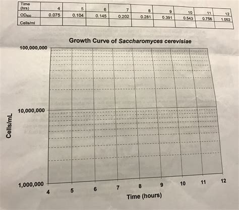solved fill in the table below and use the numbers to plot a