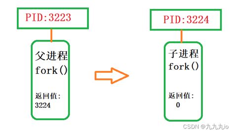 Linux下fork函数详解与实战 Csdn博客