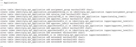 sailpoint identity iq configuring extended application attributes in