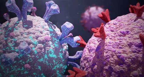 Reaksi Antigen Dan Antibodi Pengertian Sifat Fungsi Klasifikasi Dan