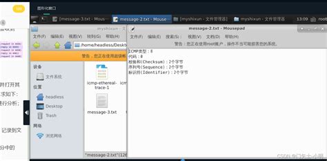 Educoder 网络实验 Ping命令与icmp协议分析ping命令与icmp协议分析头歌实验 Csdn博客