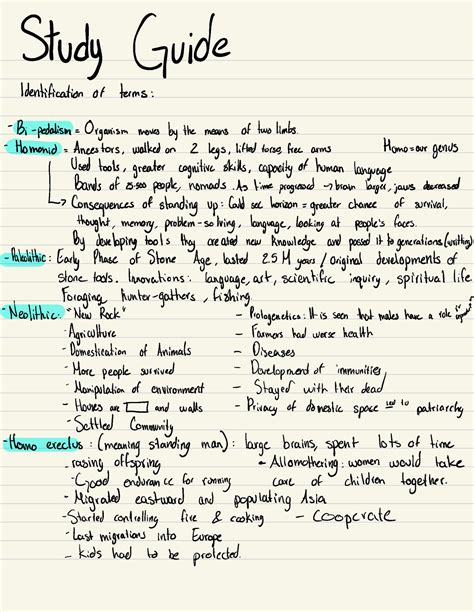 Midterm 1 Review Study Guide Professor Dubois Study Guide Identification Ofterms Studocu