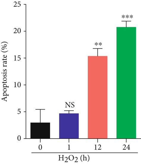 Cell Viability Apoptosis And Ros Production Of Npmscs With H2o2