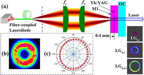 High Order Cylindrical Vector Beams With Tunable Topological Charge Up To 14 Directly Generated