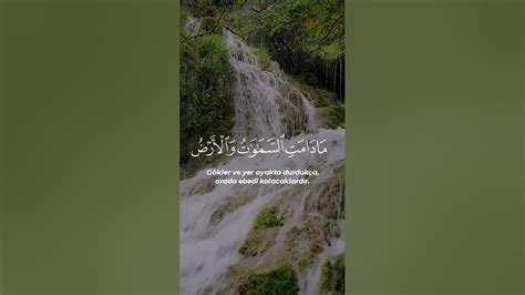 وَأَمَّا الَّذِينَ سُعِدُوا فَفِي الْجَنَّةِ خَالِدِينَ فِيهَا Youtube