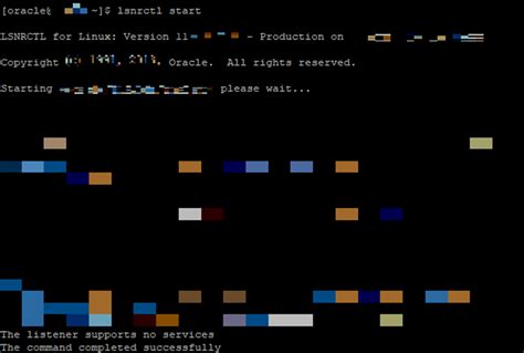 리눅스 Oracle Start 방법 오라클 실행하기 일체유심조