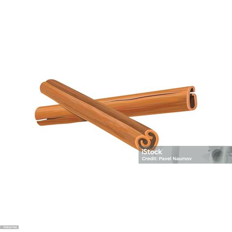 계 피 2 개의 갈색 지팡이입니다 요리에 대 한의 향기로운 향신료 요리 테마입니다 레시피 책 레스토랑이 나 카페 메뉴 장식 그래픽 요소입니다 자세한 벡터 일러스트 레이 션