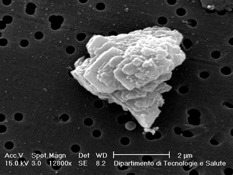 Swcnts Forest Sem Image Fig 3 Micro Graphite Sem Image Download