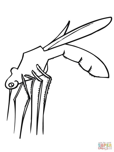 Dibujo De Contorno De Un Mosquito Para Colorear Dibujos Para Colorear Imprimir Gratis