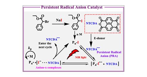 Persistent Radical Anions Efficient Catalysts For Iodine Mediated Reversible Deactivation