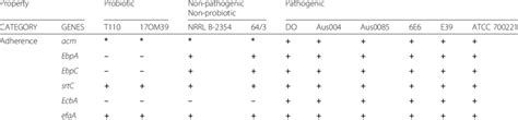 Virulence Factors Found In Enterococcus Genomes Where Present − Download Scientific Diagram