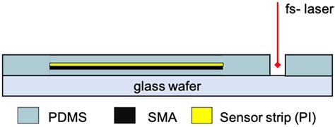 A Flexible Double Sided Curvature Sensor Array For Use In Soft Robotics