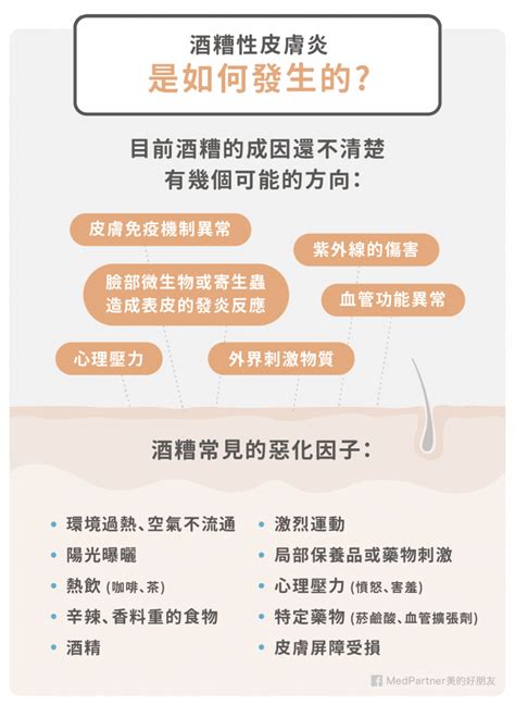 酒糟性皮膚炎怎麼辦？醫師教你安全保養酒糟肌！ 美的好朋友