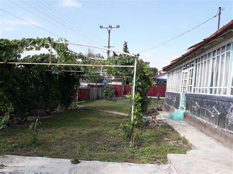 Vand Casa Batraneasca Cu Teren Tutora Iasi Tutora OLX Ro