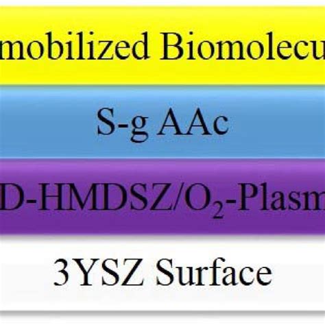 Schematic Of A Substrate After Surface Modification Download