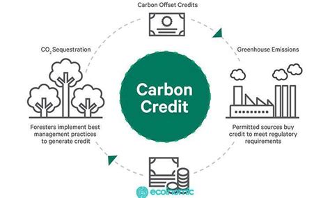 Can Blockchain Fix The Crypto Carbon Emissions Problem