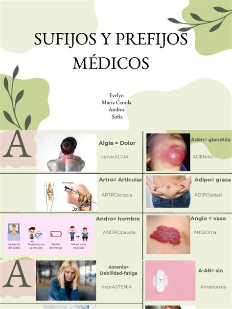 Sufijos Y Prefijos Médicos Explicados Pdf Especialidades Medicas