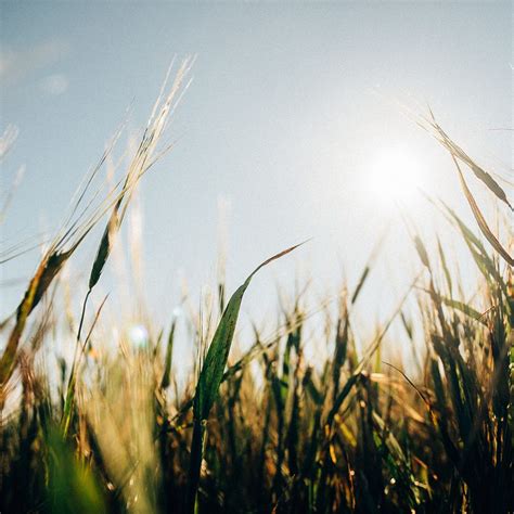 10 Simple Ways To Live A More Sustainable And Eco Lifestyle In 2024