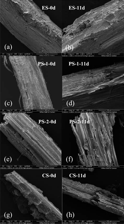 The Scanning Electron Micrograph Of Different Lignocellulose Before And
