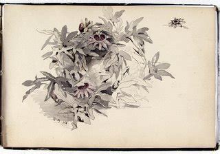 Bibliodyssey The Disconnect