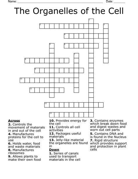 Cell Organelles Crossword Puzzle