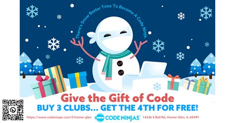 Code Ninjas Homer Glen Home