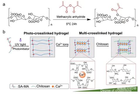 国内动态 科学家开发出新型水凝胶材料 实现4d打印血管支架 四川增材制造技术协会官网