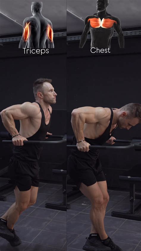 📌 Dips Triceps Vs Chest Know The Difference Master Your Form And