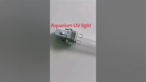 Aquarium Uv Light Uvclight Machine Uvengineer Uvlights Factory