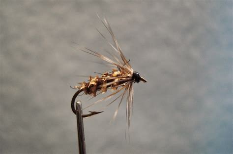 Soft Hackles Tight Lines Artofit