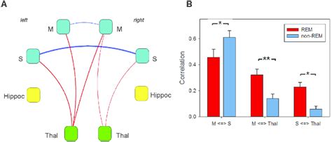 Differences In Functional Connectivity Between The Two Sleep States A