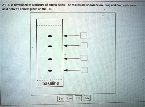SOLVED: A TLC is developed of a mixture of amino acids. The results are shown below Drag and ...