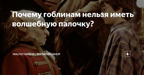 Почему гоблинам нельзя иметь волшебную палочку Malfoy Manor Малфой