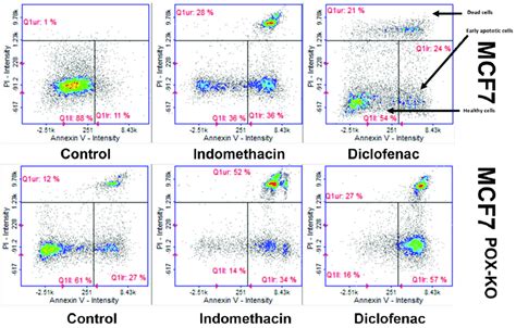 Cytometric Assay Of Apoptosis In Mcf 7 And Mcf7 Pox Ko Cells After 12