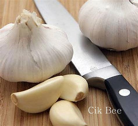 Info Khasiat Bawang Putih Allium Sativum Resepi Cik Bee