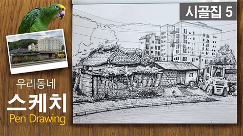 시골집 그리기 펜그림 시골풍경 그리기 펜 드로잉 Pen Drawing 앵무새와 밤다러가기~ Youtube