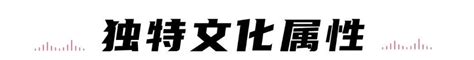 主客共享的城市休闲度假游新标本——网红地标『雷猴猫潮玩馆』 知乎