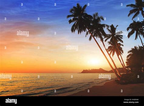 Exotic Tropical Sunset Beautiful Beautiful Sunset On The Beach Palm