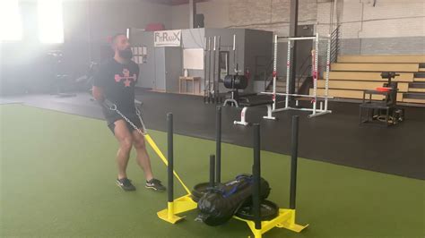 Reverse Sled Walk Dip Belt YouTube